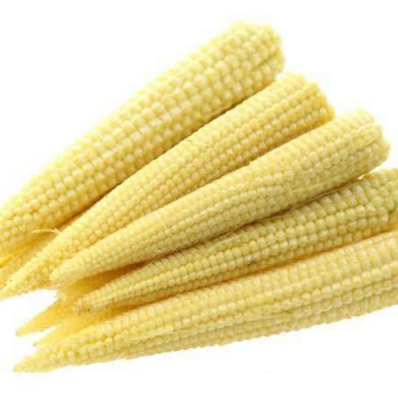 Jual baby corn 100 gram | Shopee Indonesia