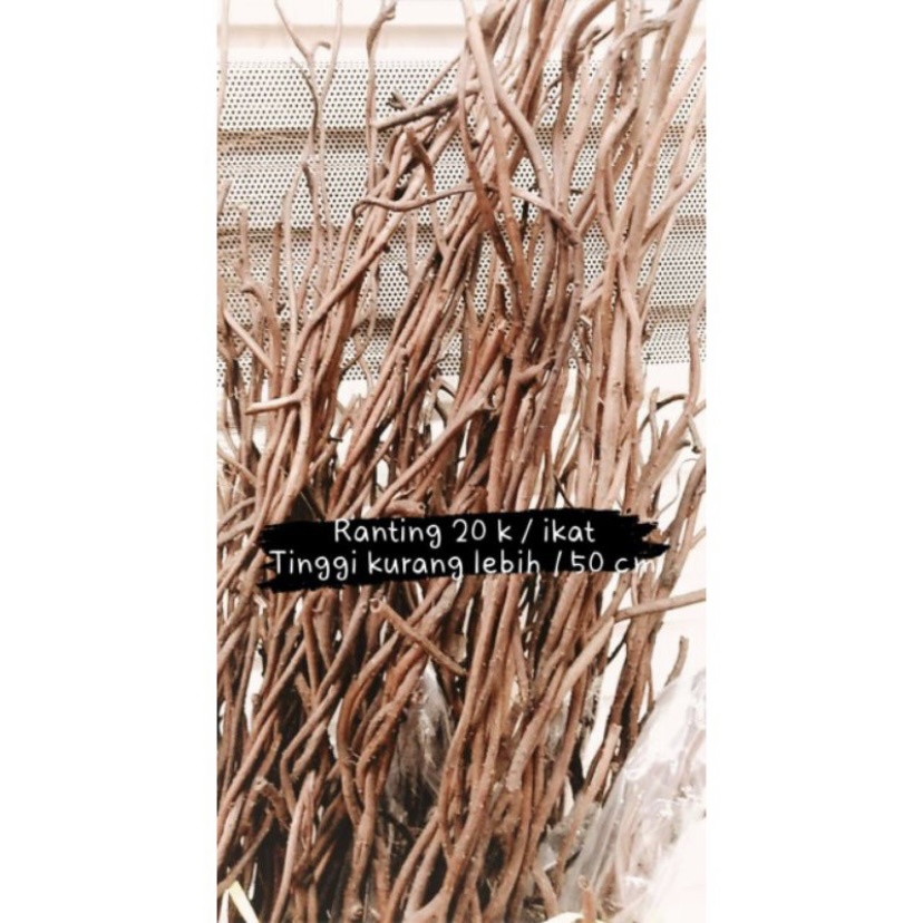 Jual bunga kering ranting kering dried flower (ranting kering) | Shopee ...