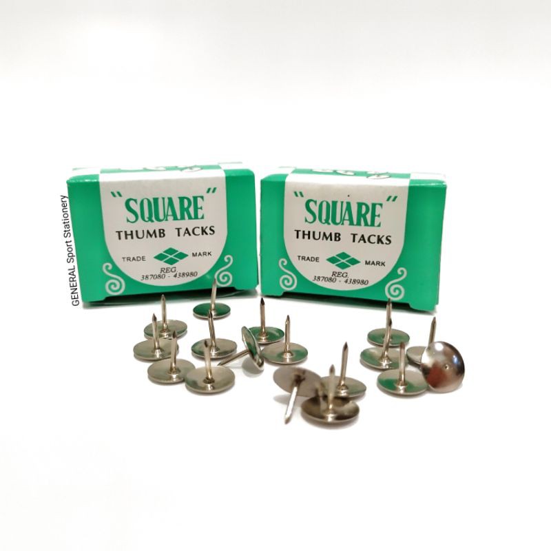 Jual Paku Pines / Paku Payung Square ORIGINAL | Shopee Indonesia