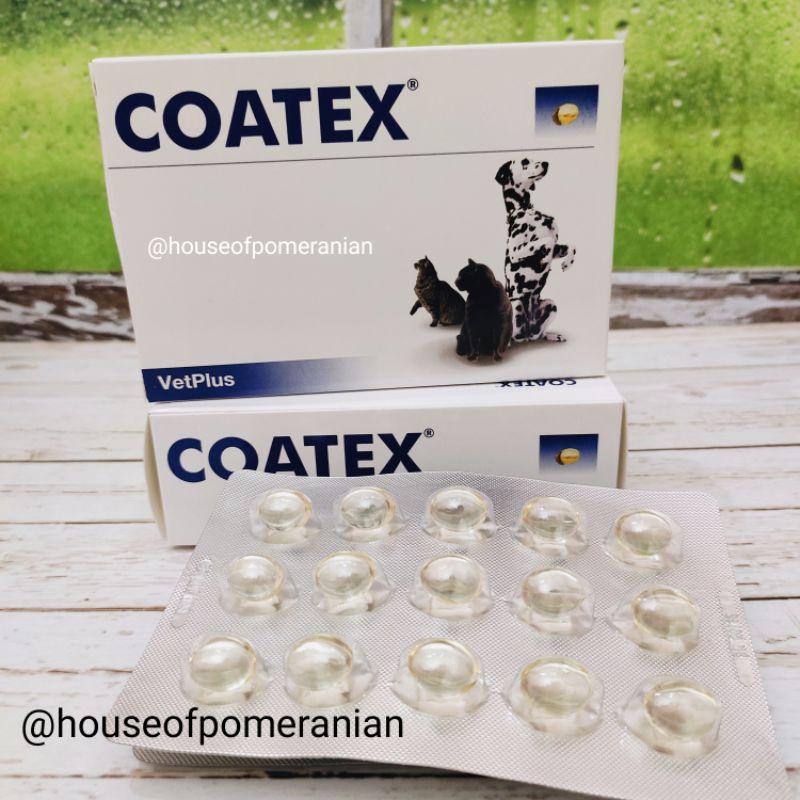 Jual COATEX VETPLUS vitamin anjing kucing kulit dan bulu indah | Shopee ...