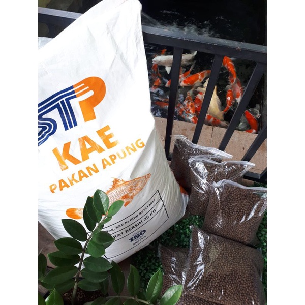 Jual KAE 20kg protein 50% | Shopee Indonesia