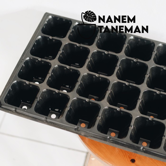Jual Nanem Taneman - Tray Semai - 32 lubang - 54cm x 27cm x 5cm ...