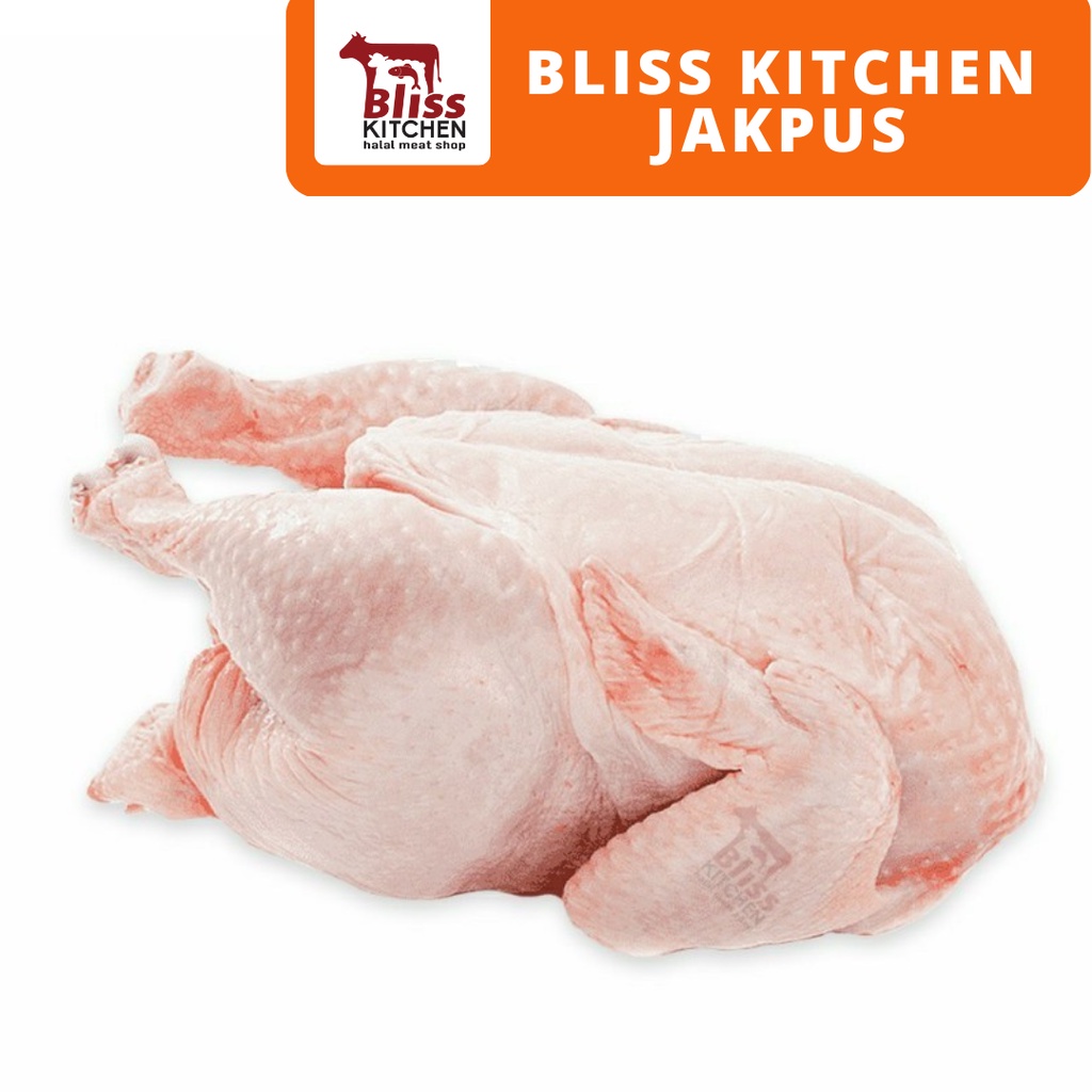 Jual Daftar Harga Ayam Broiler Terlengkap & Harga Terbaru Mei 2026 ...