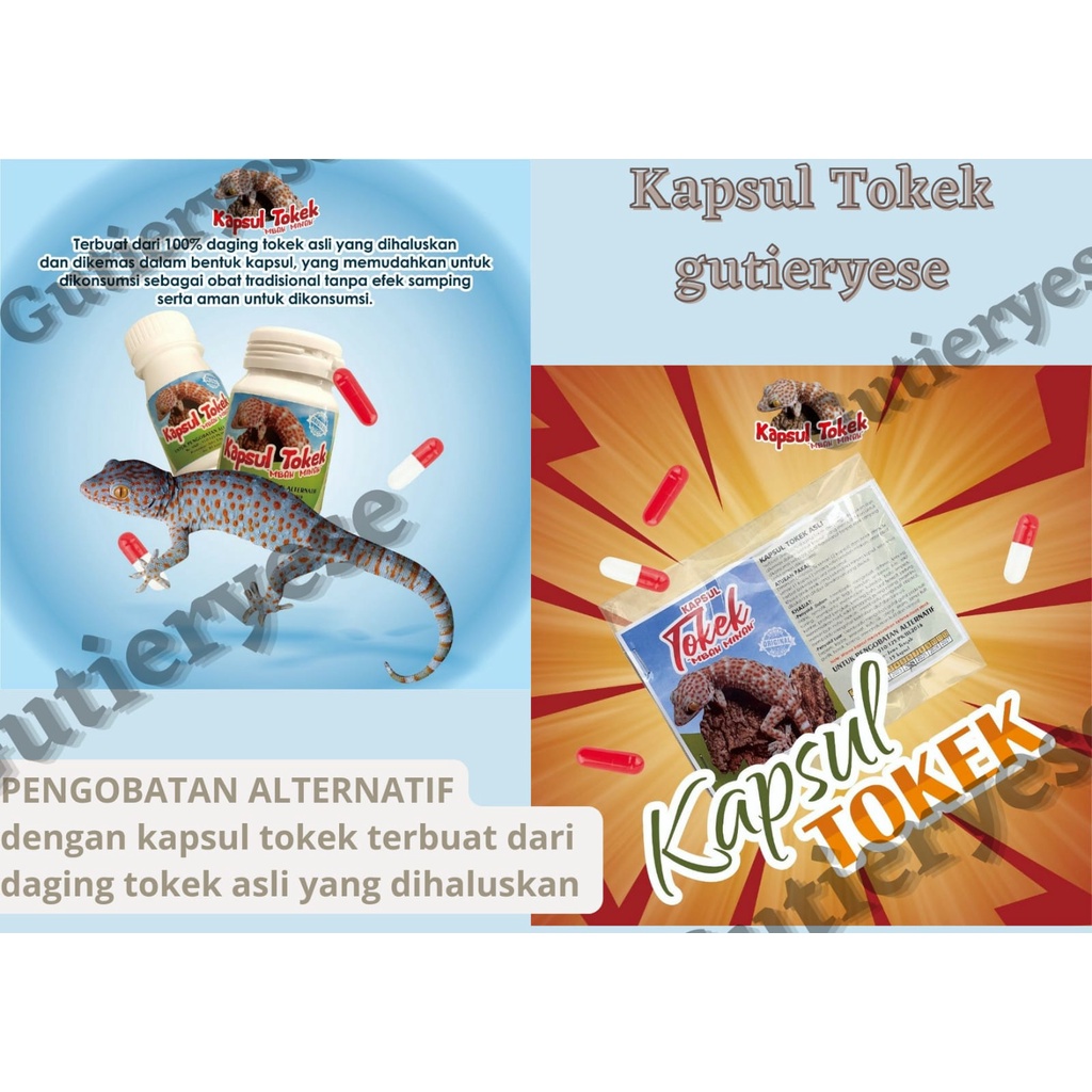 Jual TOKEK KAPSUL - KAPSUL TOKEK PENYEMBUH SEGALA MACAM GATAL KULIT ...