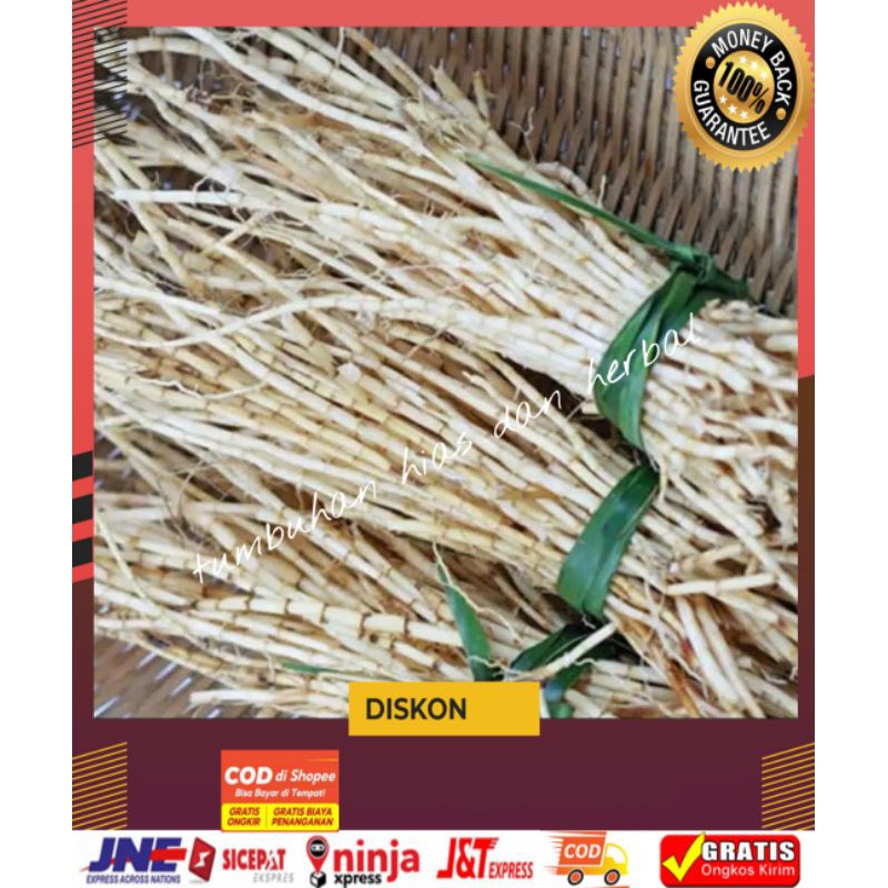 Jual Akar alang alang/akar ilalang/akar eurih/alang lang segar 250gram ...