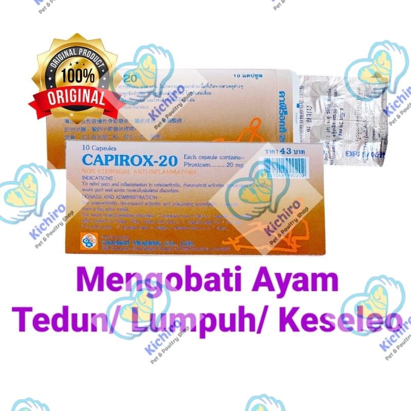 Jual Capirox-20 isi 10 Kapsul Import Bangkok Thailand Obat Ayam Lumpuh ...
