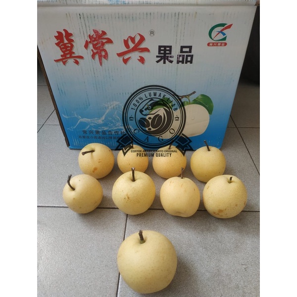 Jual Buah Pear Pir Century Premium 1 Dus (17 KG) Fresh Import | Shopee ...