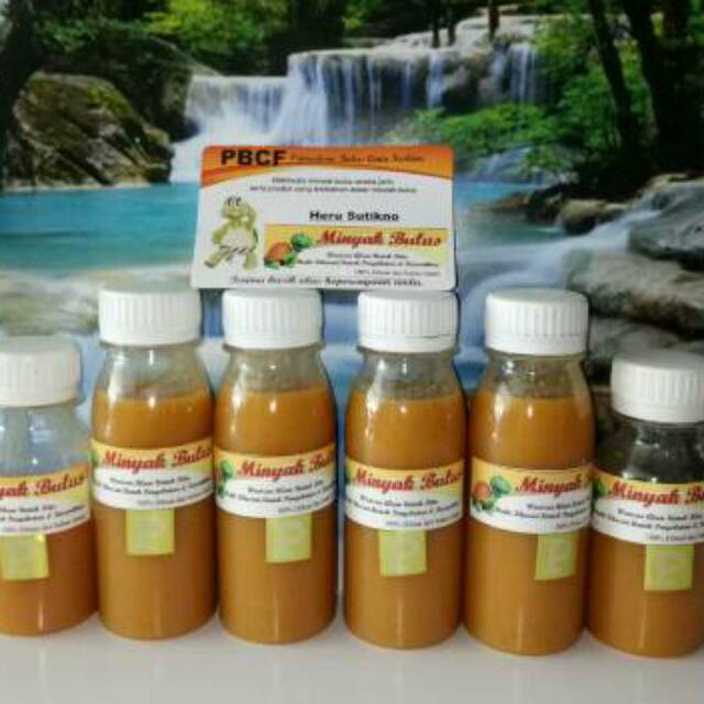 Jual Minyak Bulus ORIGINAL 50ML 100ML 150ML | Shopee Indonesia