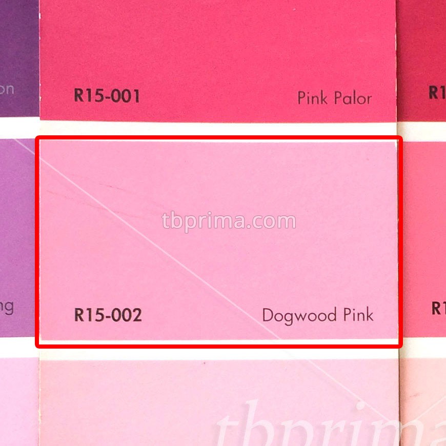Jual No Drop Tinting R15-002 Dogwood Pink 1 kg | Shopee Indonesia