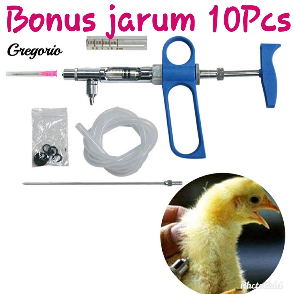 Jual Doc Broiler Terlengkap & Harga Terbaru Juni 2026 | Shopee Indonesia
