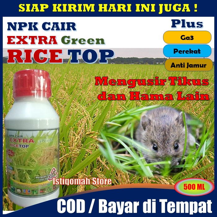 Jual RICETOP 500ml Obat Pengusir Hama Tikus Di Sawah - Obat Pembasmi Hama Tikus - Obat Hama ...