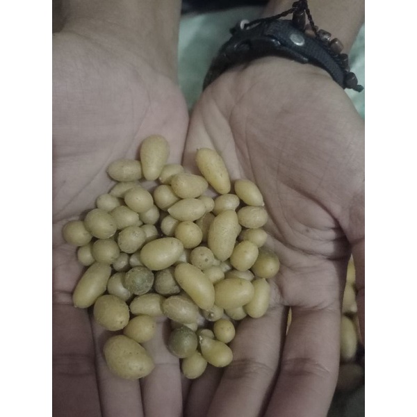 Jual Benih Kentang Granola L G0 ukuran Ss 500 Knol | Shopee Indonesia