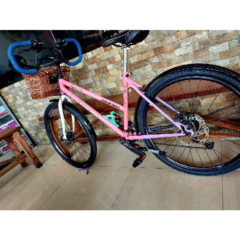 Jual sepeda mtb jadul 26 inch ferderal lady cat sepeda lawas restorasi ...