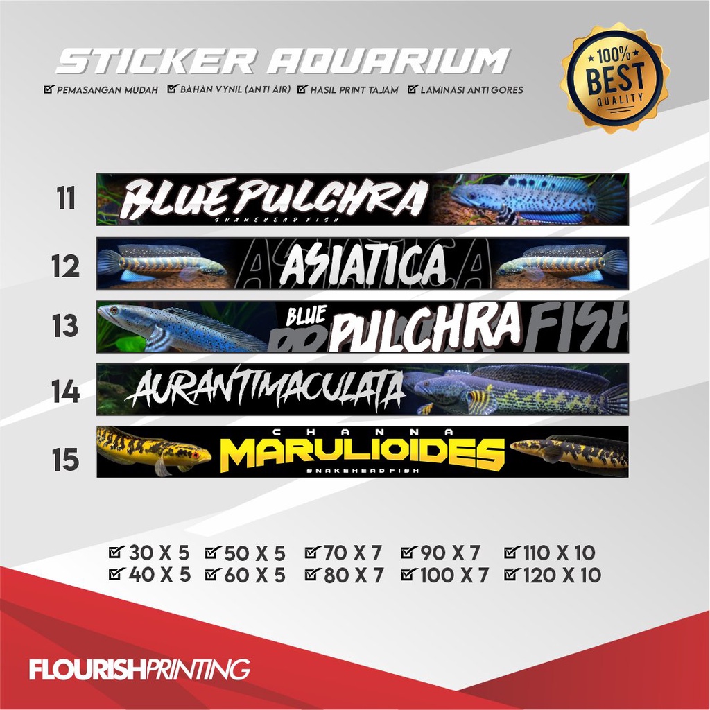 Jual STICKER AQUARIUM PREDATOR / CHANNA FISH | Shopee Indonesia