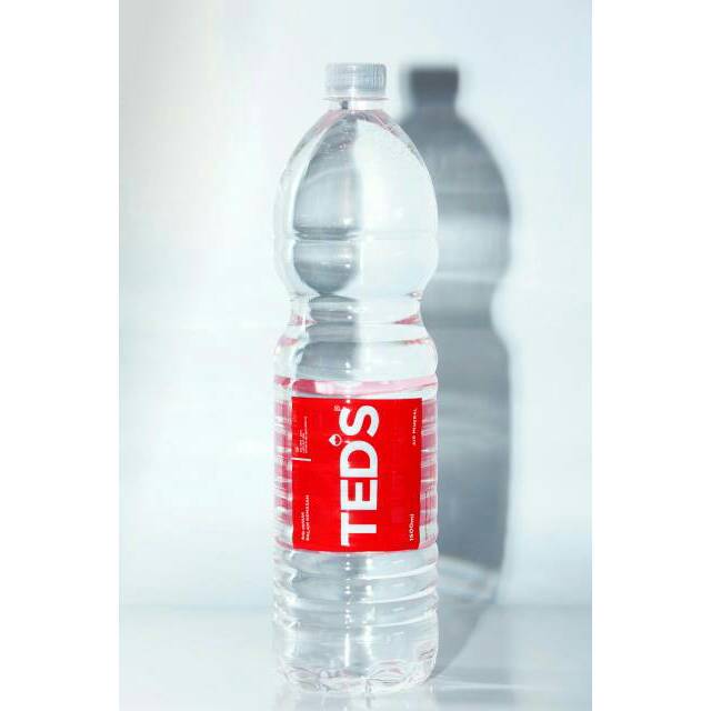 Jual Minuman TED'S 1500 ML 1,5 Liter | Shopee Indonesia