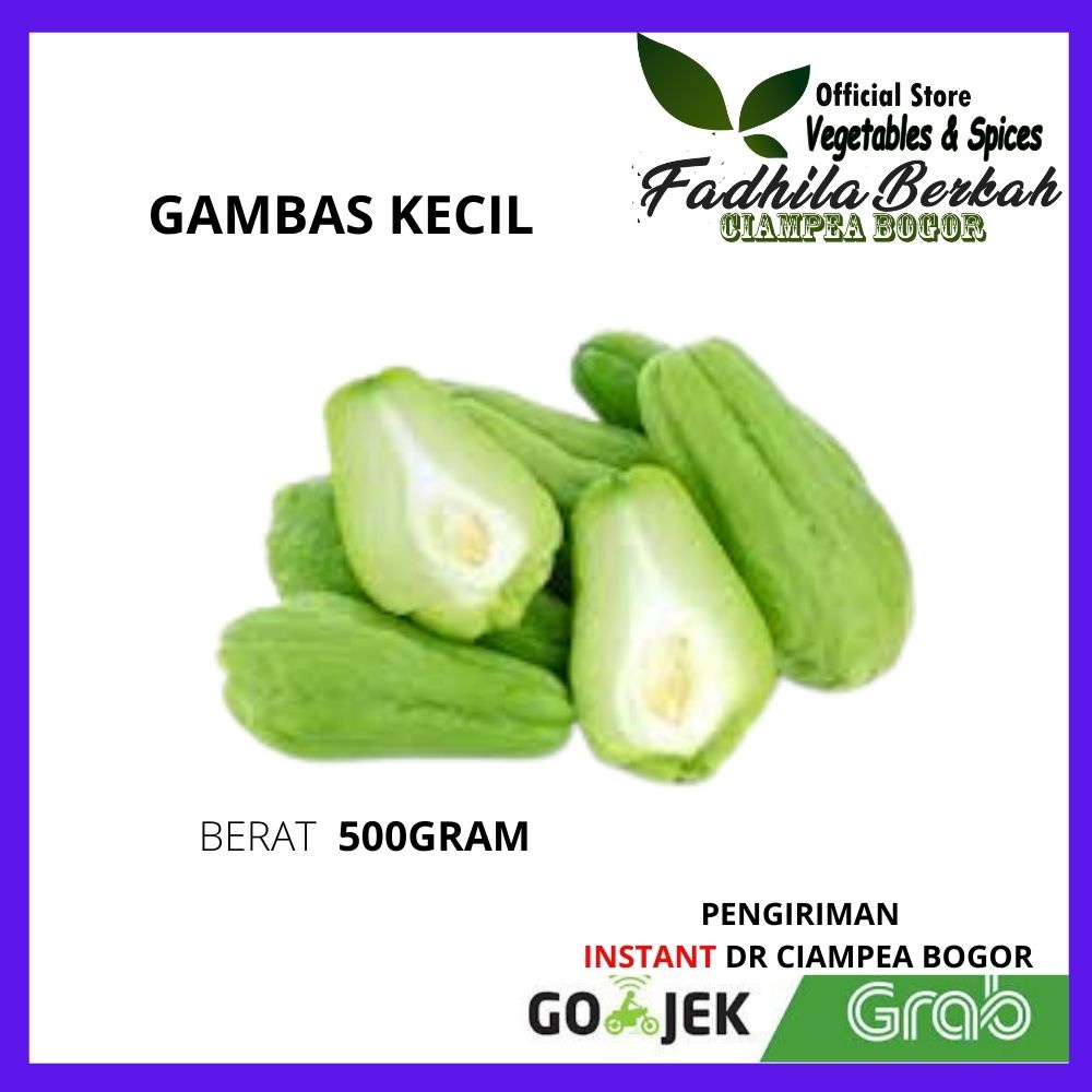 Jual Gambas Labu Kecil Pasar Sayur Sayuran sayurbox sayurmayur Segar ...