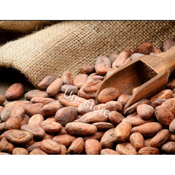 Jual BIJI COKLAT KERING 1KG KAKAO KAKO MURAH BERKUALITAS | Shopee Indonesia