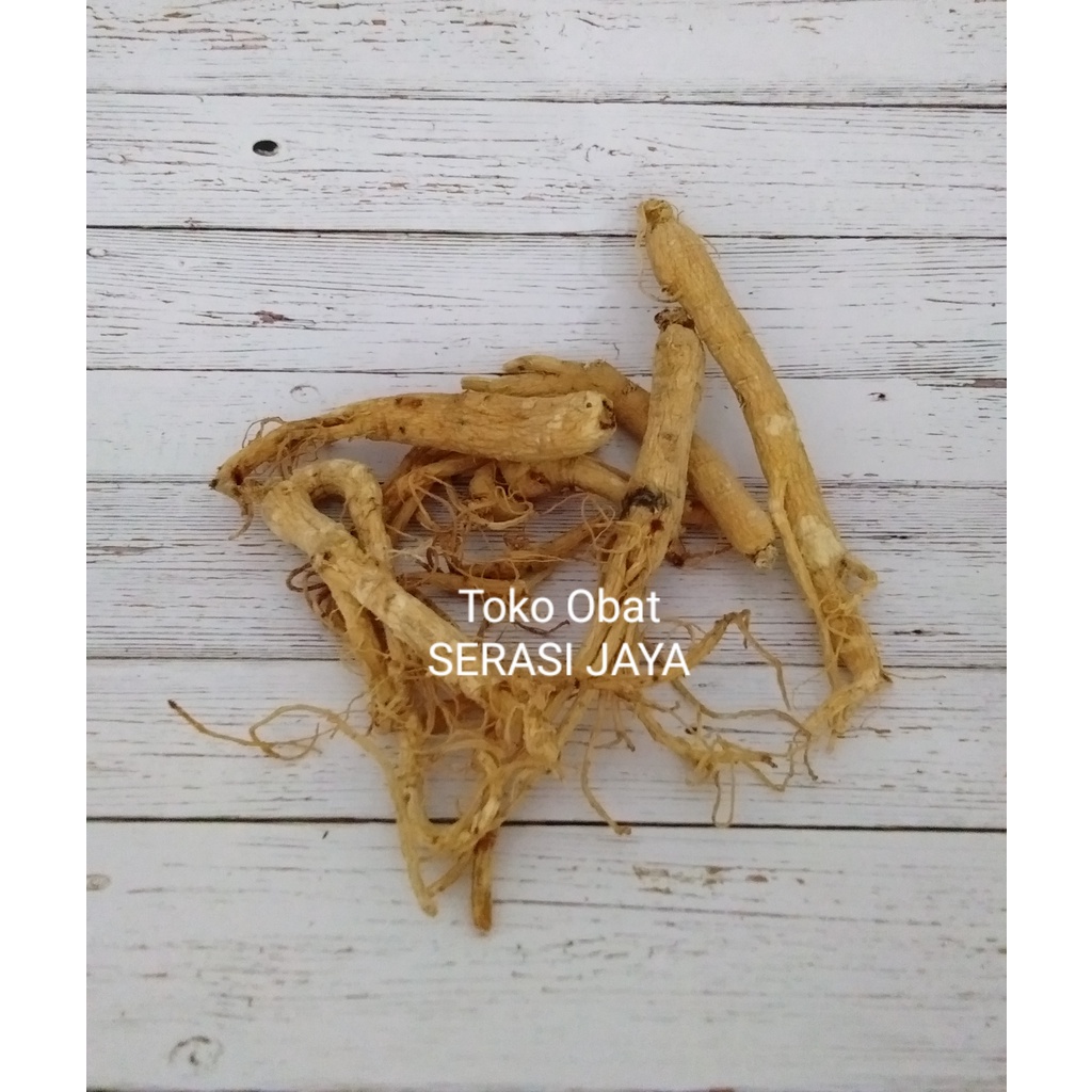 Jual Ginseng (Ginseng Radix) 1 Ci 3,75g Stamina Kesehatan Tubuh Obat ...