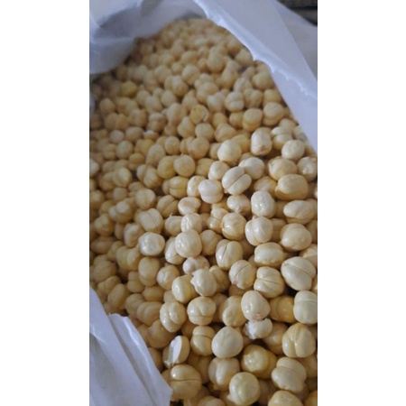 Jual kacang arab keju chickpease/kacang humus 1kg | Shopee Indonesia
