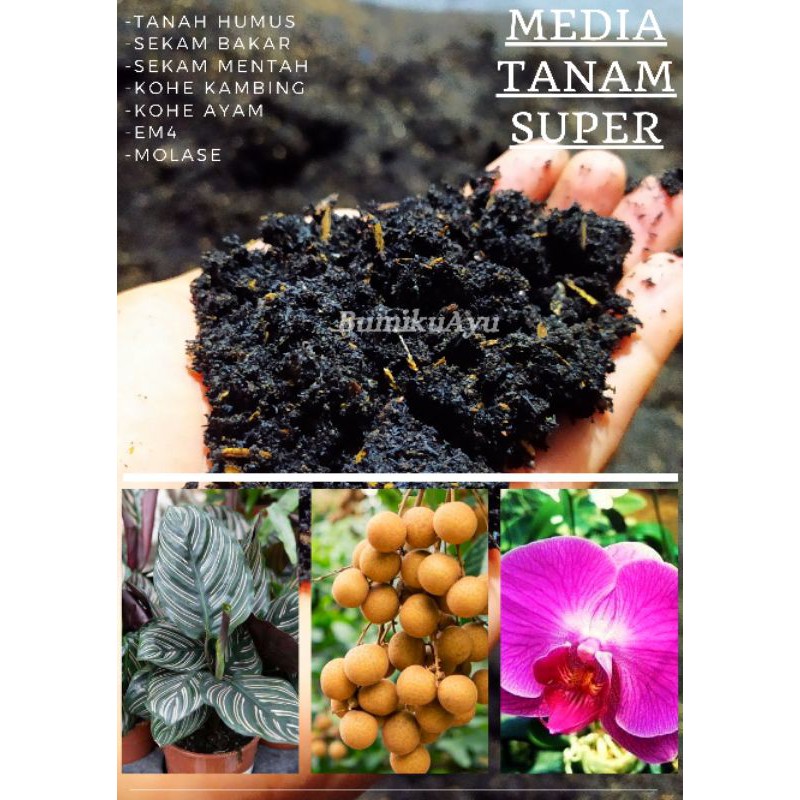 Jual Media Tanam Organik Premium BumikuAyu Kemasan plastik 35x40 ...