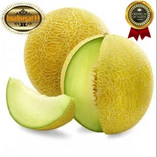 Jual Buah Melon Terlengkap & Harga Terbaru Juni 2024 | Shopee Indonesia