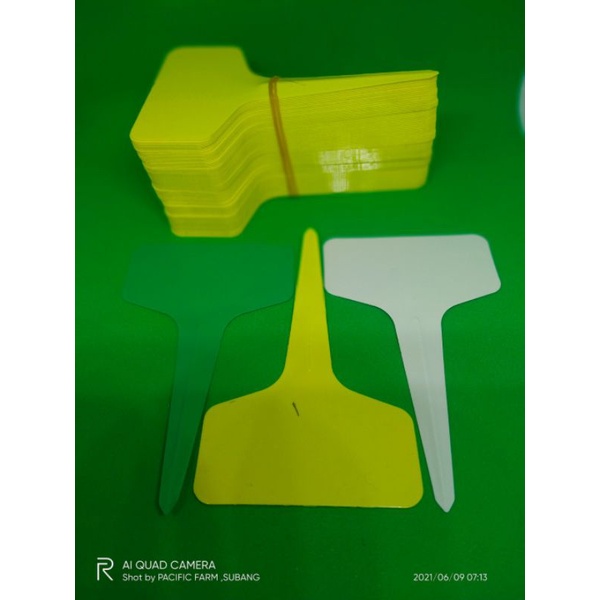 Jual plant name tag ukuran besar | Shopee Indonesia