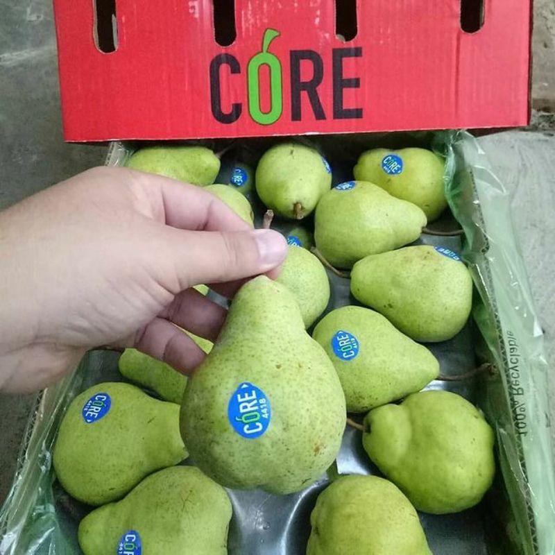 Jual [Termurah] Pear Hijau Pir Packham 1 Kg | Shopee Indonesia
