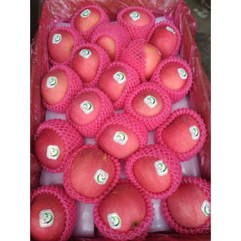 Jual Apel Fuji Premium Citra Segar Sehat per Box 17 kg | Shopee Indonesia