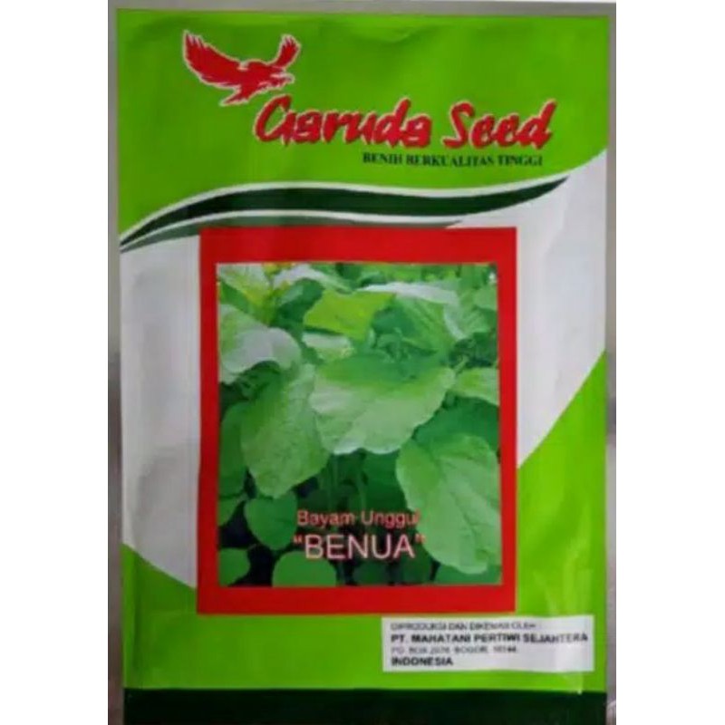 Jual BIBIT BAYAM HIJAU BENUA 50GRAM | BENIH BAYAM UNGGUL | Shopee Indonesia
