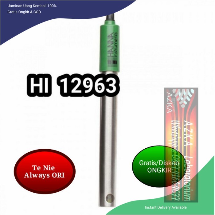 Jual Hanna HI-12963 pH electrode for use with wastewater | Shopee Indonesia
