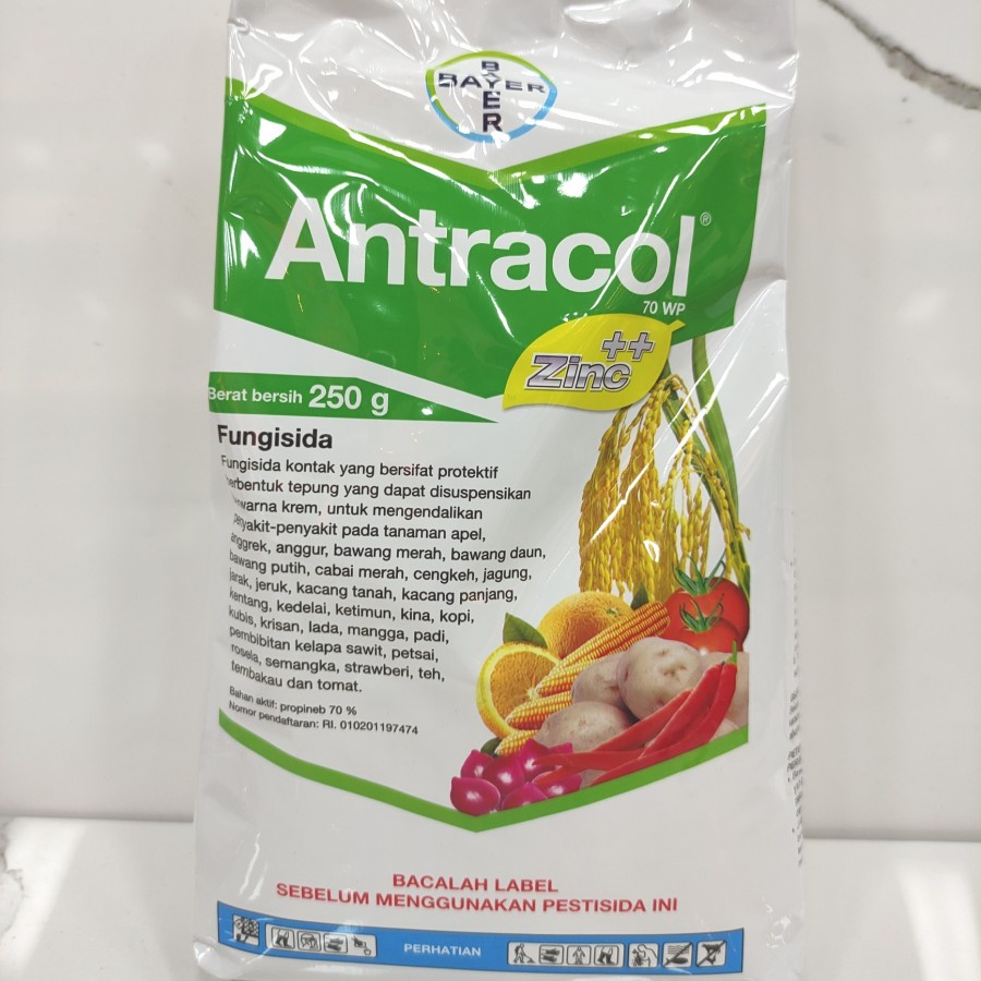 Jual Antracol 70 WP Zinc 250 gram [Kemasan Pabrik] - Fungisida ?(Obat ...