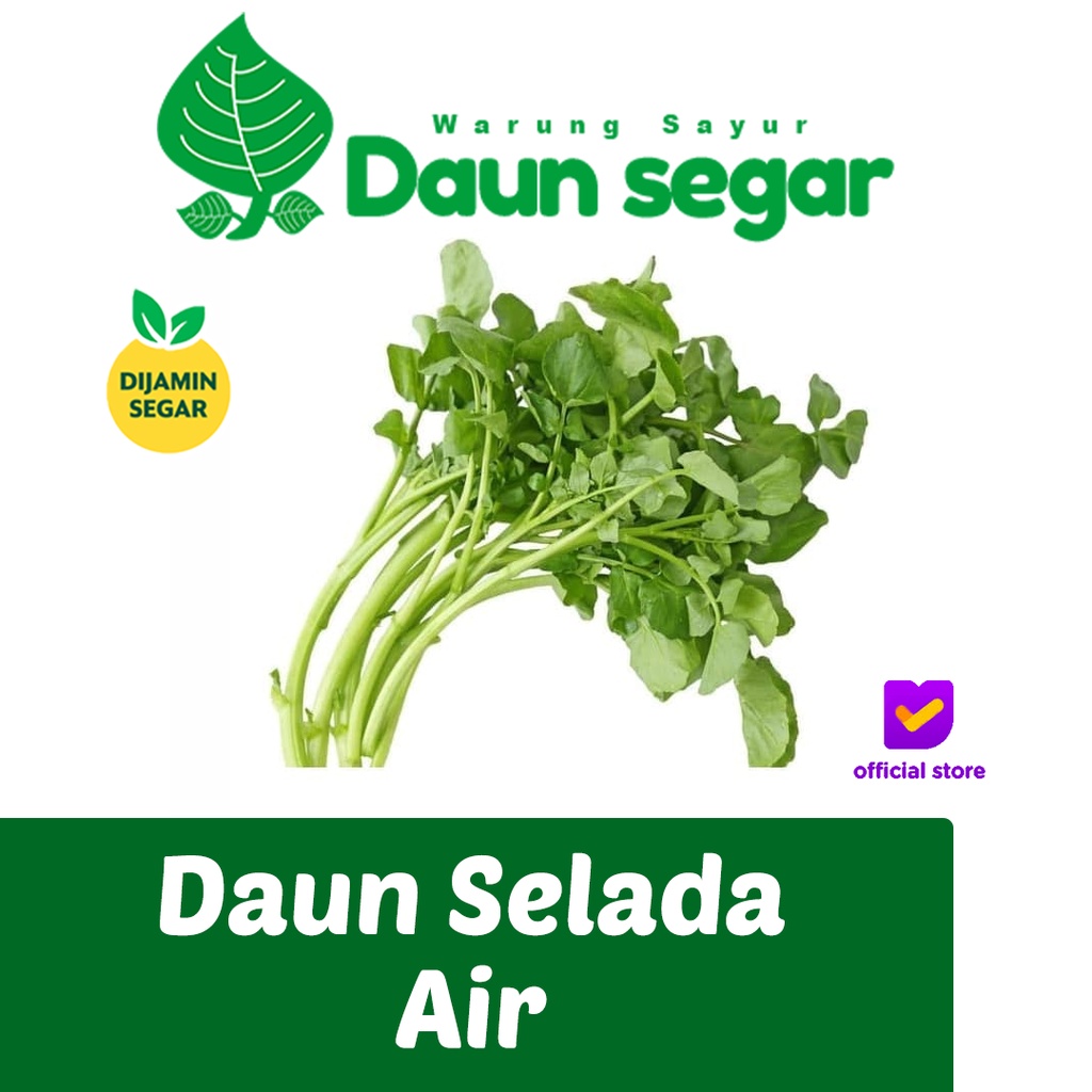Jual Daun Selada Air Per ikat Fresh dan Besar | Shopee Indonesia
