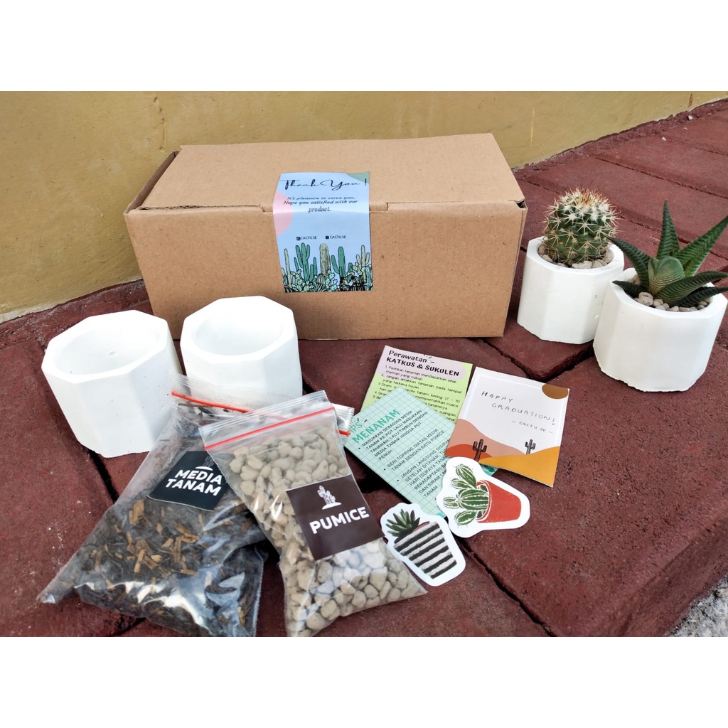 Jual Duo Mini Planting Kit Kaktus / Gift Box / Hampers Katus / Hadiah ...