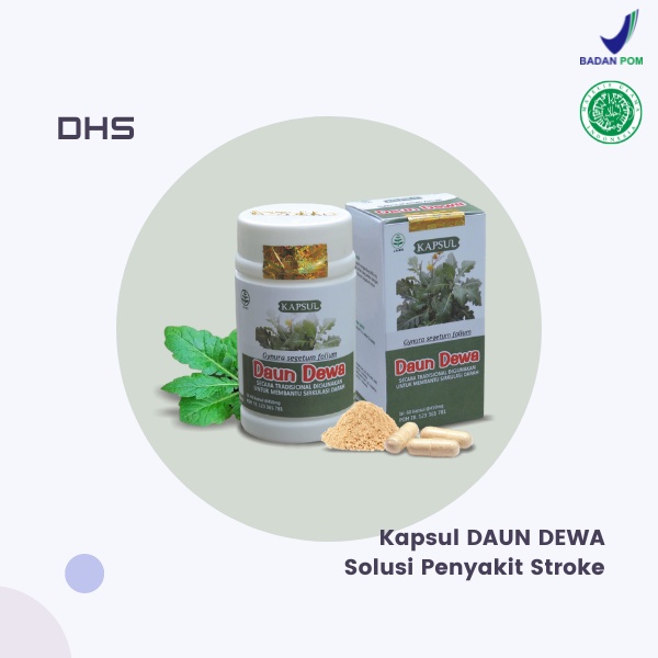 Jual Obat Stroke Darah Lancar Herbal Daun Dewa Tazakka | Shopee Indonesia