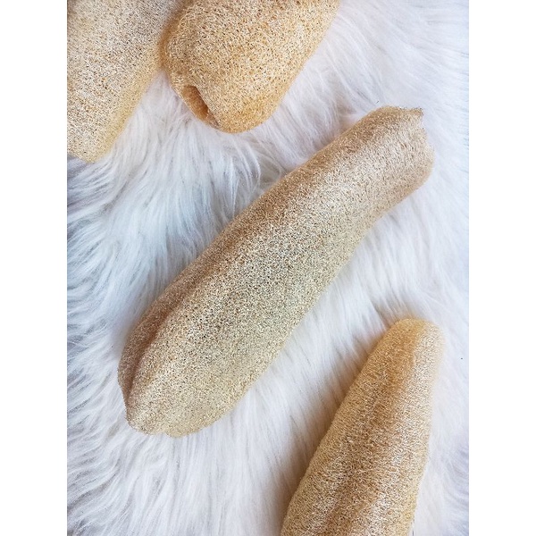 Jual Loofah Natural Sponge Spons alami / Gambas Kering Premium Besar ...