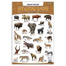 Jual SMART KIDS POSTER HEWAN LIAR ( BUKU ORIGINAL ) | Shopee Indonesia