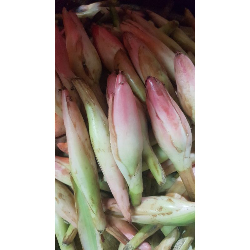 Jual kincung/bunga rias / bunga kecombrang 250 gram | Shopee Indonesia