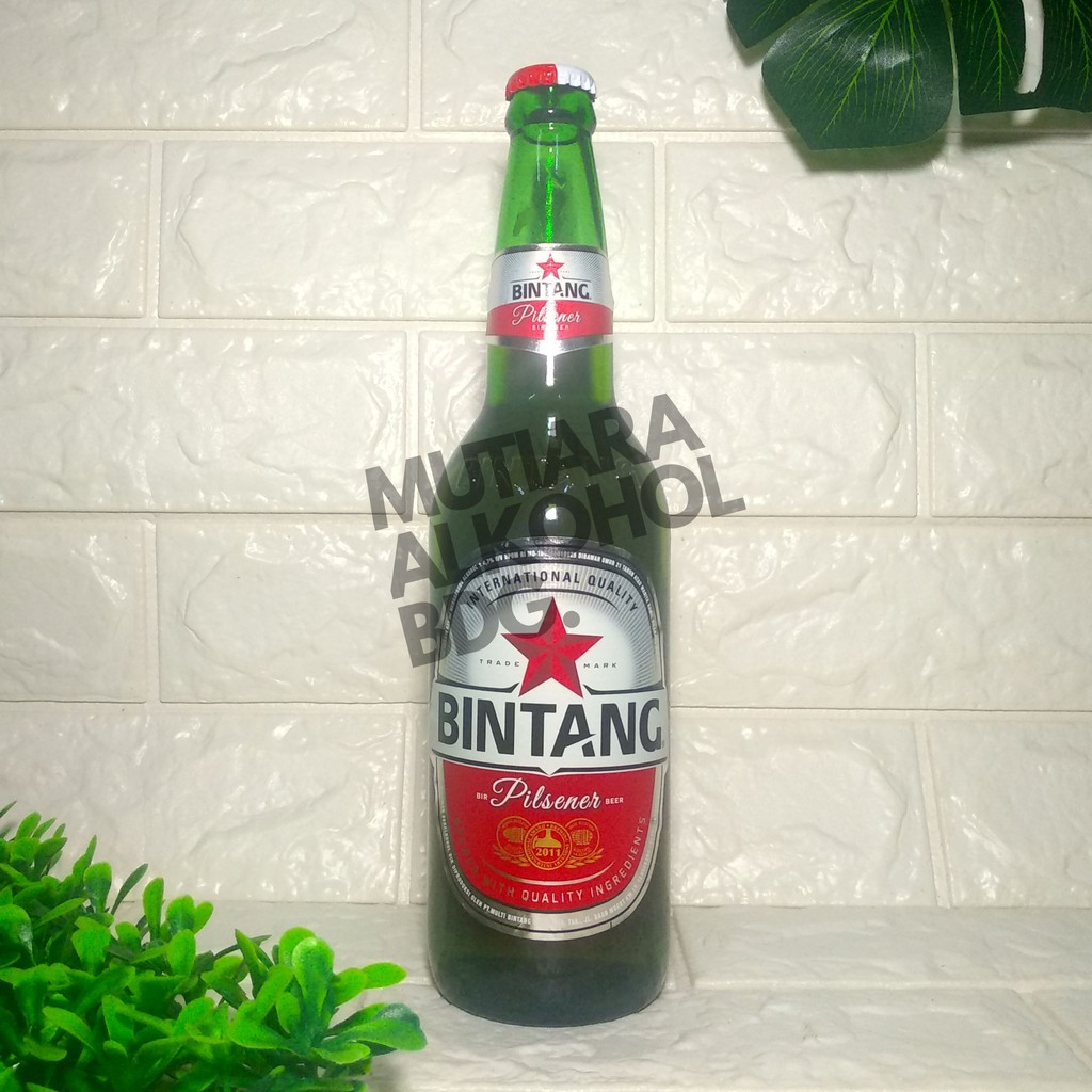 Jual Bir Bintang 620 ml | Shopee Indonesia