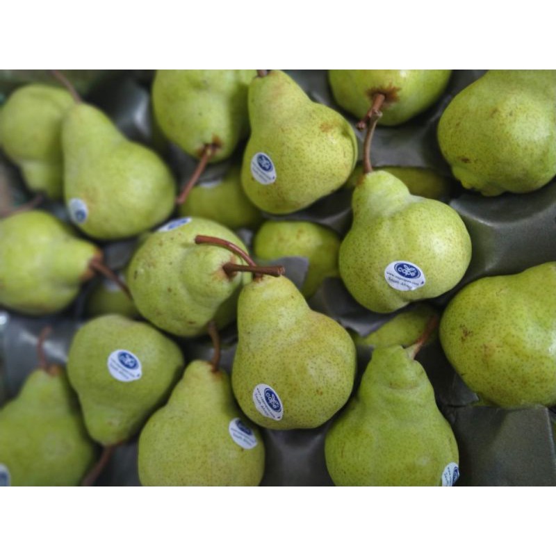 Jual Pear Packam - 1 Kg | Shopee Indonesia