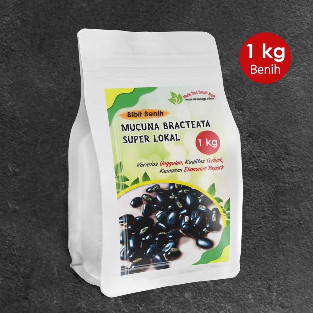 Jual Bibit cover crop Benih Mucuna 1 kg super lokal bibit mucuna ...