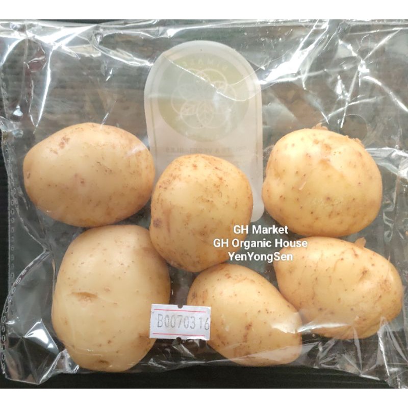 Jual Kentang Kuning Organik Simalem 250 gr Fresh Panen dari Kebun ...