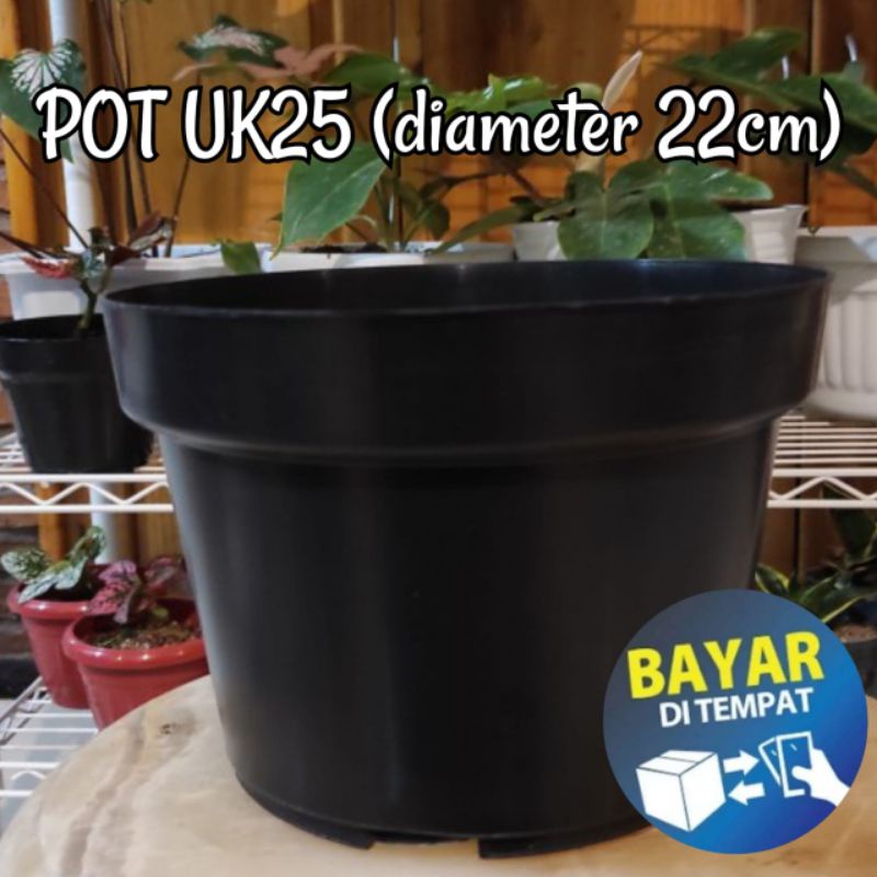 Jual POT BUNGA UK25 ISI 12 BIJI (diameter 22cm) ISI 1 LUSIN DAN POT ...