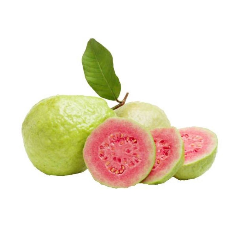 Jual jambu merah 1kg | Shopee Indonesia