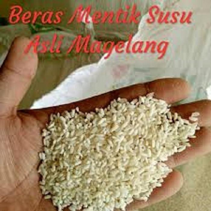 Jual Beras Sehat Mentik Wangi Susu Organik Premium Beras Diet 5 kg ...