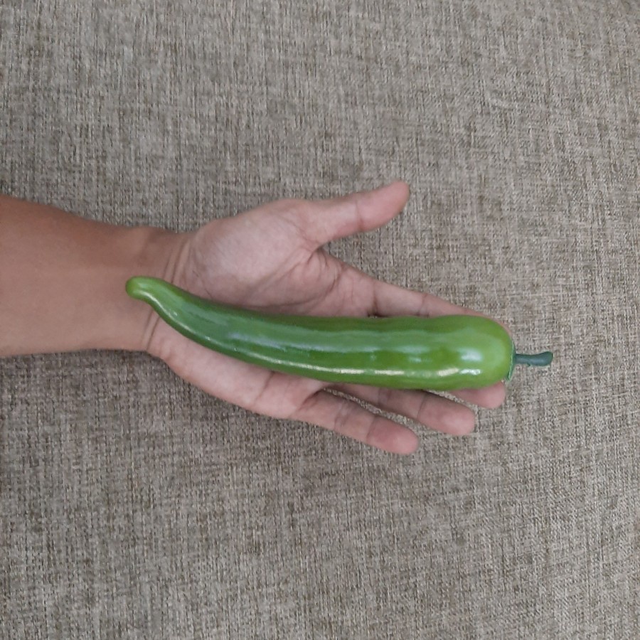 Jual cabe hias cabai paslu buatan hiasan meja pajangan chili pepper ...