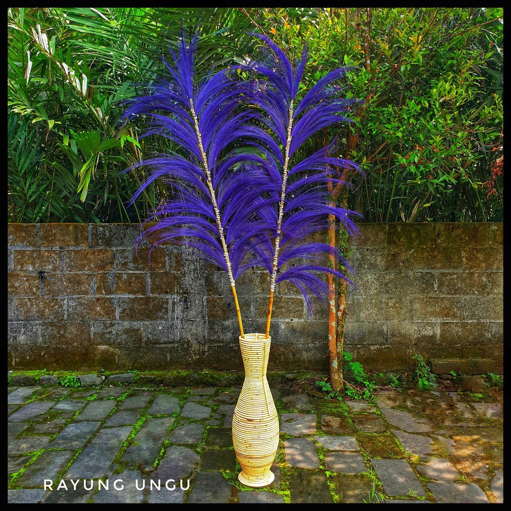 Jual Satu Tangkai Rayung Ungu (Tidak Termasuk Vas/Guci/Pot) | Shopee ...