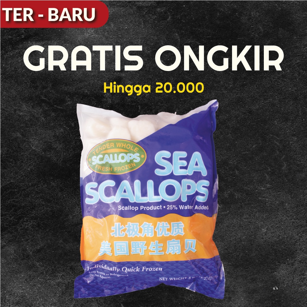 Jual Premium US Scallop / Kerang Kampak / Kerang Laut 200g | Shopee ...