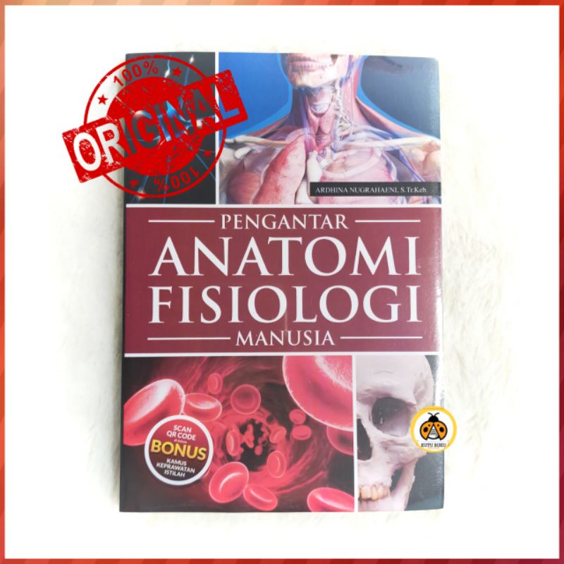 Jual Pengantar Anatomi Fisiologi Manusia - Healthy [ Original ] | Shopee Indonesia