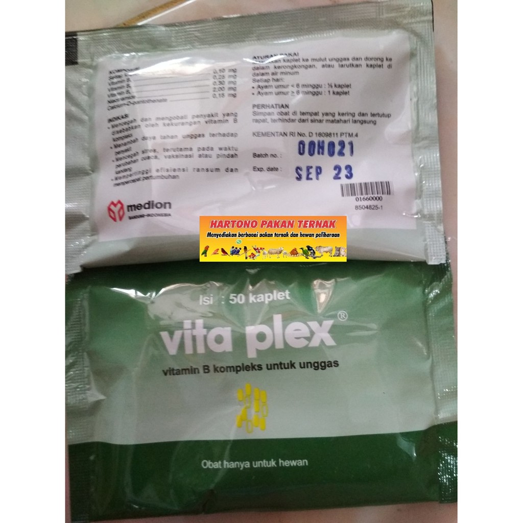 Jual Vita plex vitaplex VITAMIN AYAM + NAFSU MAKAN DLL | Shopee Indonesia