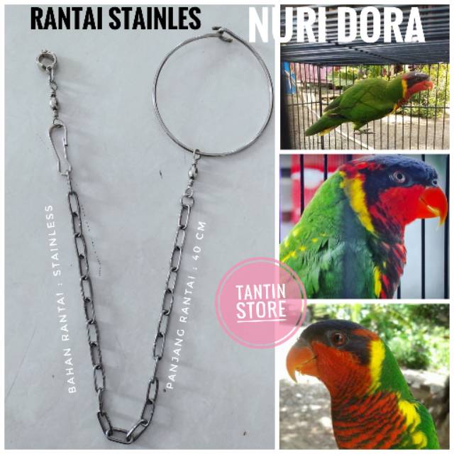 Jual Rantai Burung Nuri Dora | Shopee Indonesia